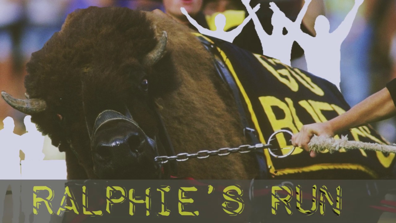 The Story Behind Colorado's Exhilarating Ralphie's Run | Traditions ...