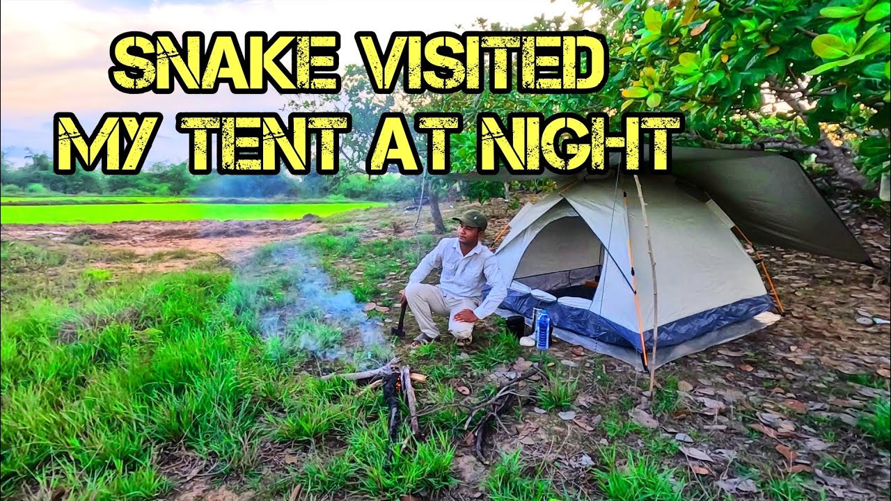Rice Field Solo Camping | The Snake Visit My Tent At Night ...