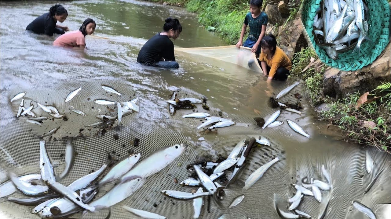 The stream fish were hit by the hook, the harvest was profitable. - YouTube
