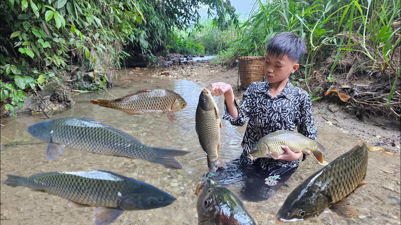 Orphan boy Nam's bare hands caught many big carp in a small stream. The ...