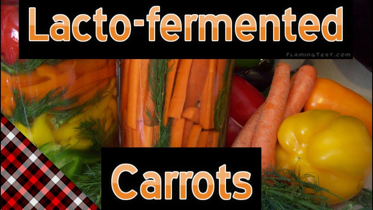 Lacto-fermented Carrots (Easy) - YouTube
