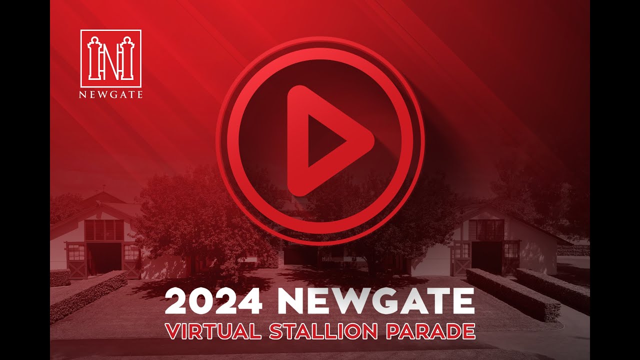 2024 Newgate Virtual Stallion Parade - YouTube