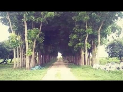 Caiña Ranch - Baras Rizal - YouTube
