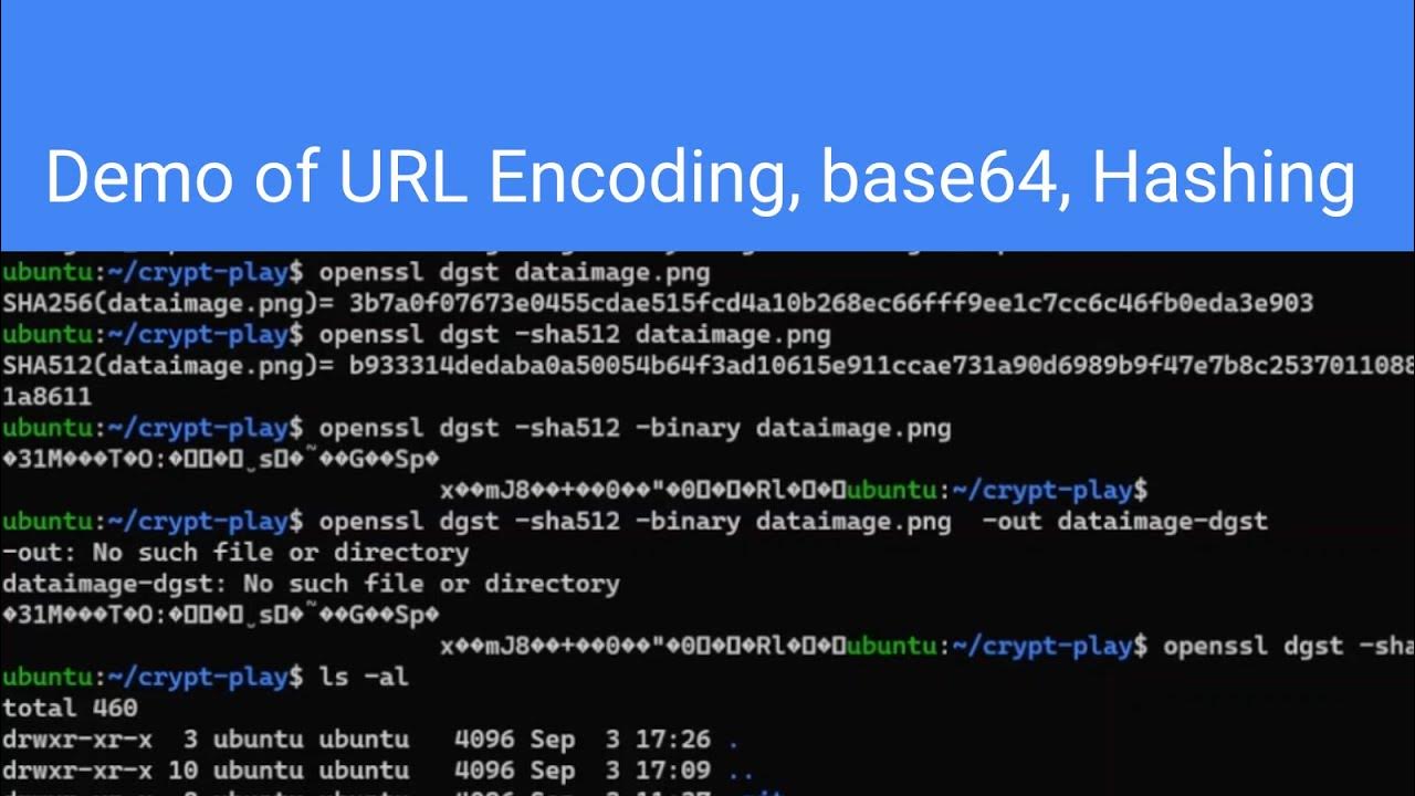 Demonstration of URL Encoding, Base64 and Hashing - YouTube