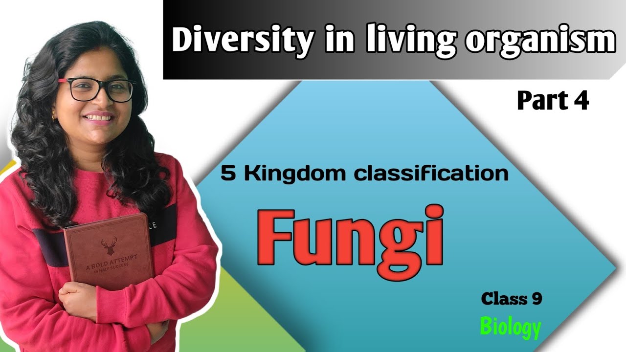 Diversity in living organism | 5 kingdom classification | FUNGI - YouTube