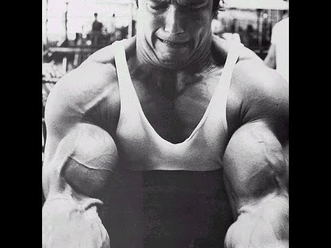 Come ON! - Arnold Synthwave - YouTube