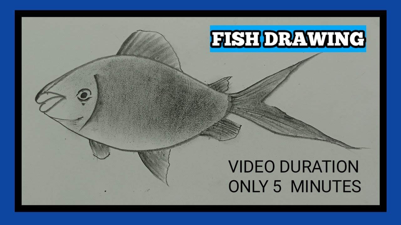 FISH DRAWING, EASY TRICK#skart, watch - YouTube