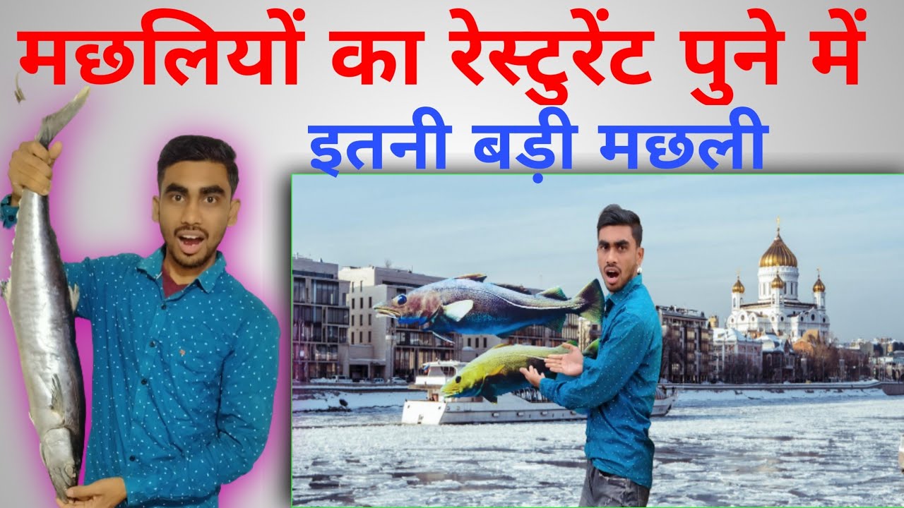 Fish restaurant in Pune 🐟🦈 || मछलियों का रेस्टुरेंट || Pune Hadapsar ...