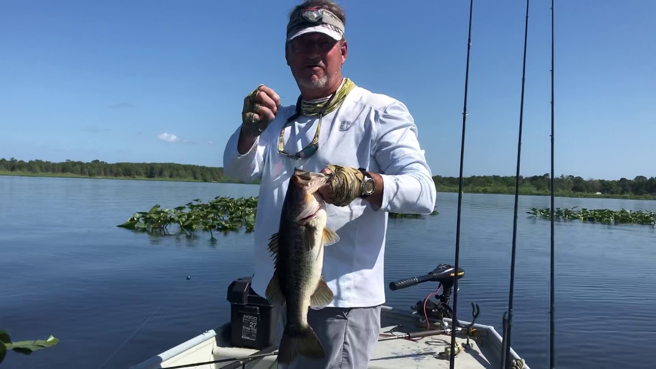 Fishing With Robert Barwick on Up The Creek - YouTube