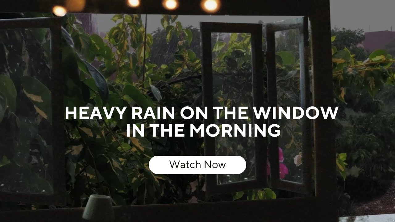 Heavy rain on the window in the morning | Tropical rain falls on leaves ...
