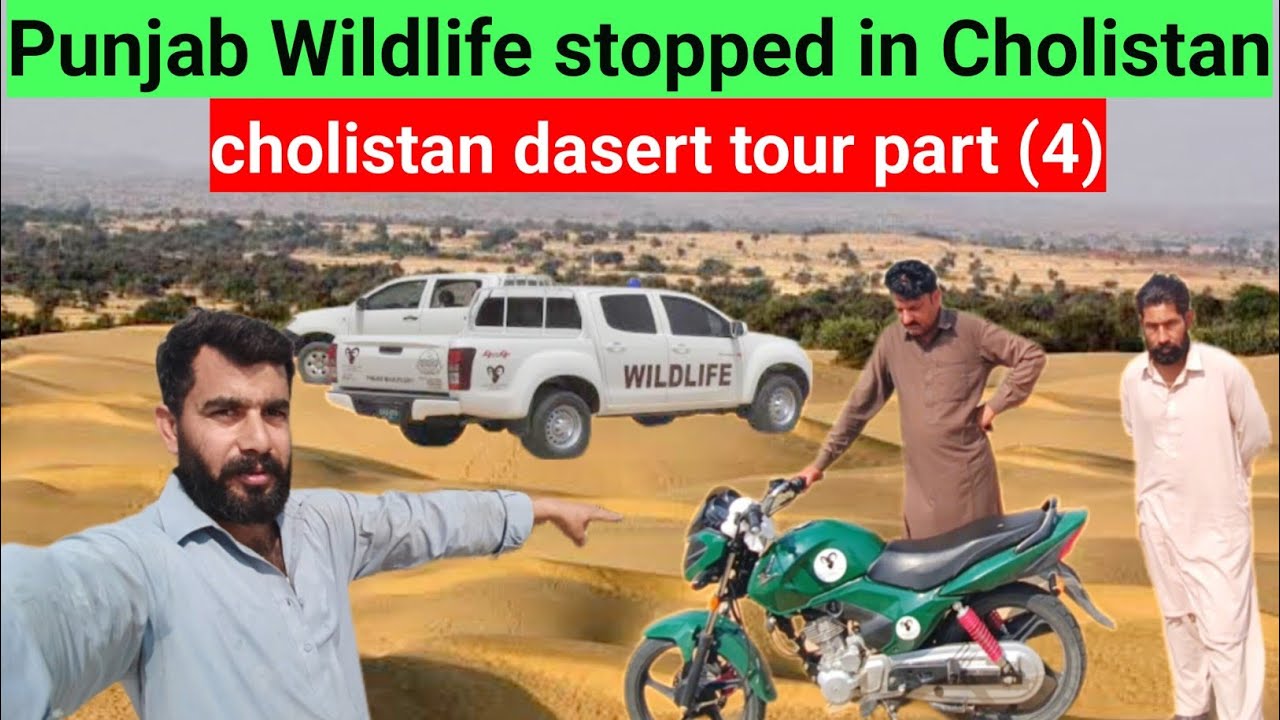 cholistan desert tour part(4) | Wildlife Stop in Cholistan - YouTube