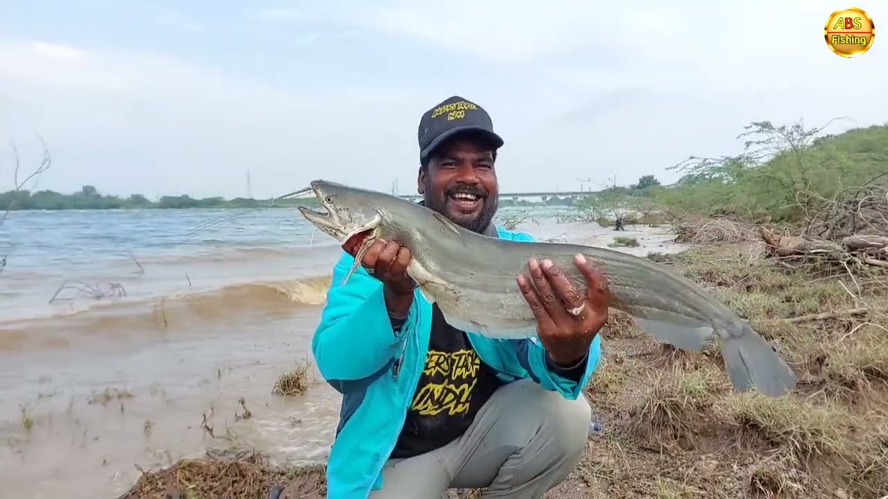 Wallago Attu Fishing | Catfish Fish Catching | Fishing Techniques ...