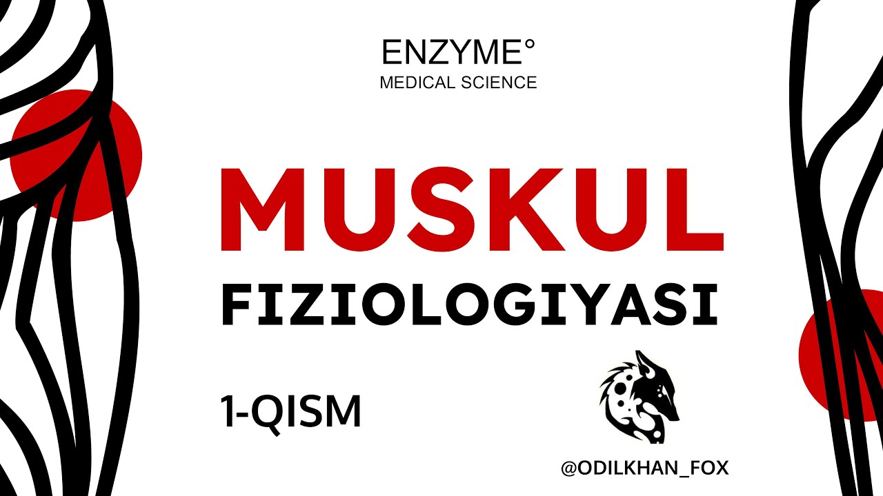 Muskul fiziologiyasi I Muscle physiology 1-qism - YouTube