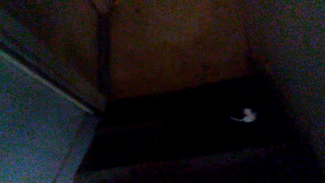 Kittyland: pt 3 - YouTube