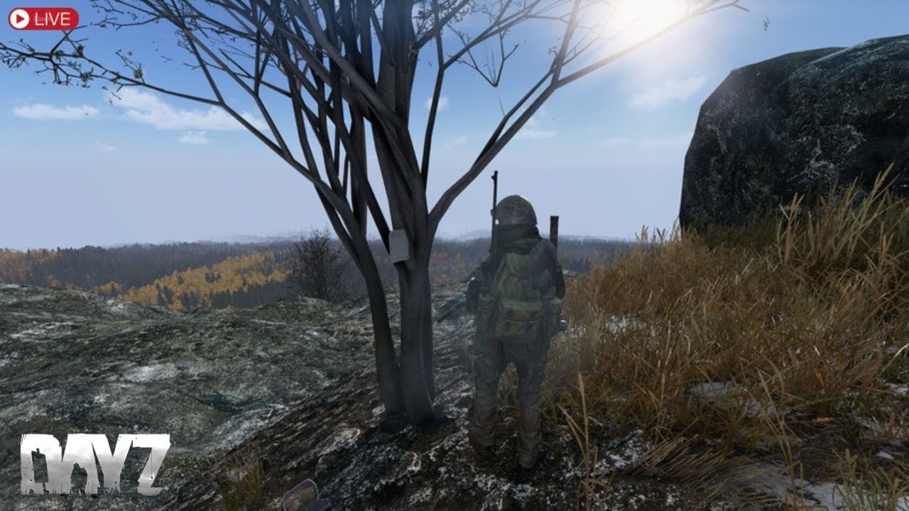 DayZ | Cherno🌲 - YouTube