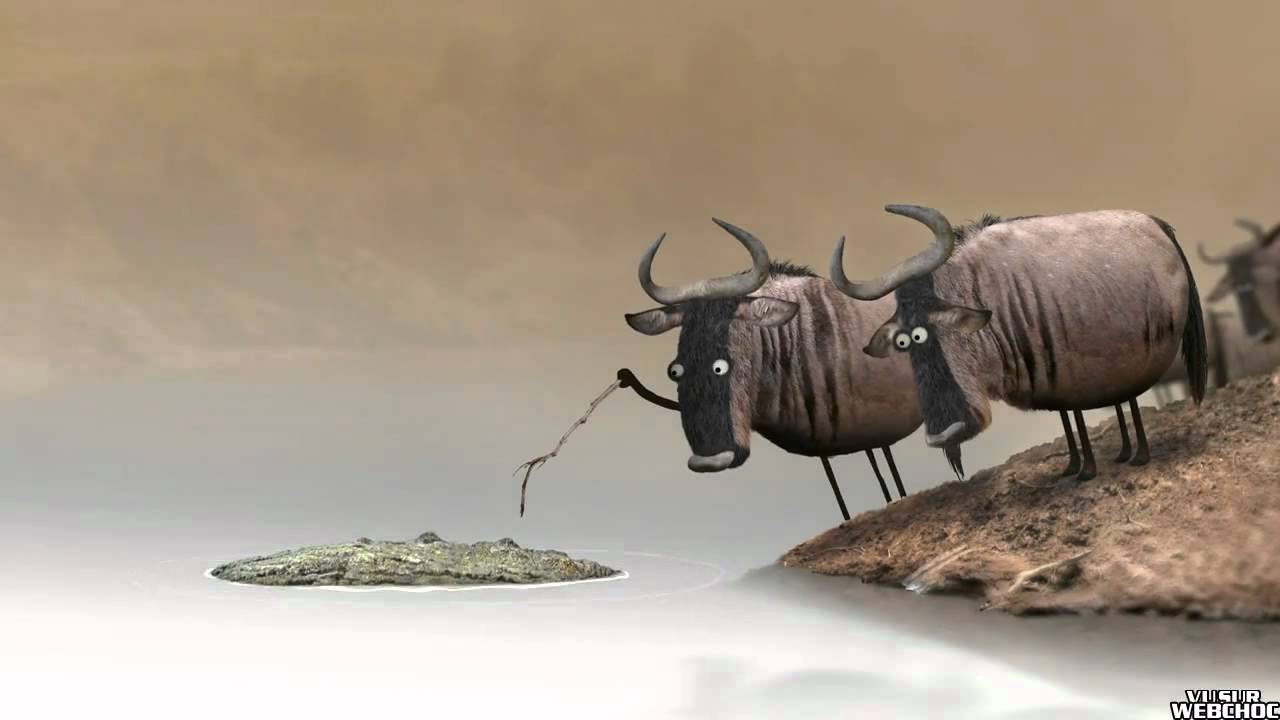 wildebeest - YouTube