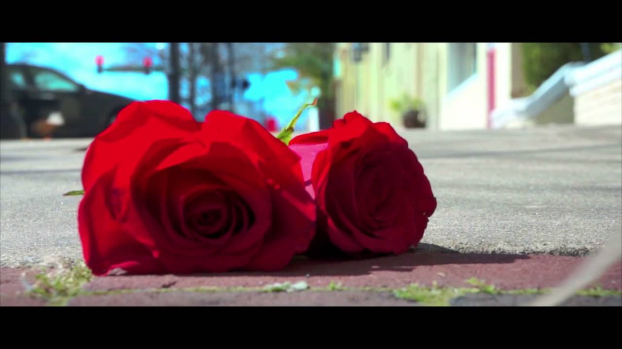 Roses Trailer (Short Film) - YouTube