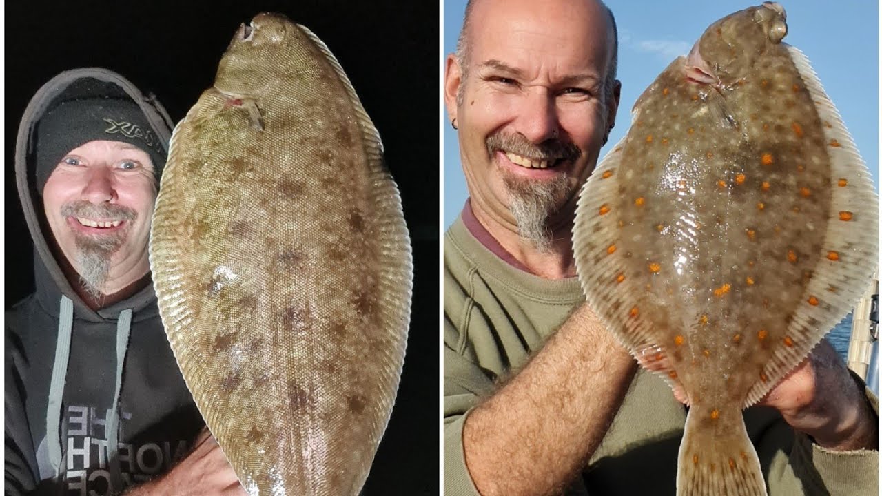 Sole Fishing Boat Fishing Solent Southampton Water Southcoast United ...