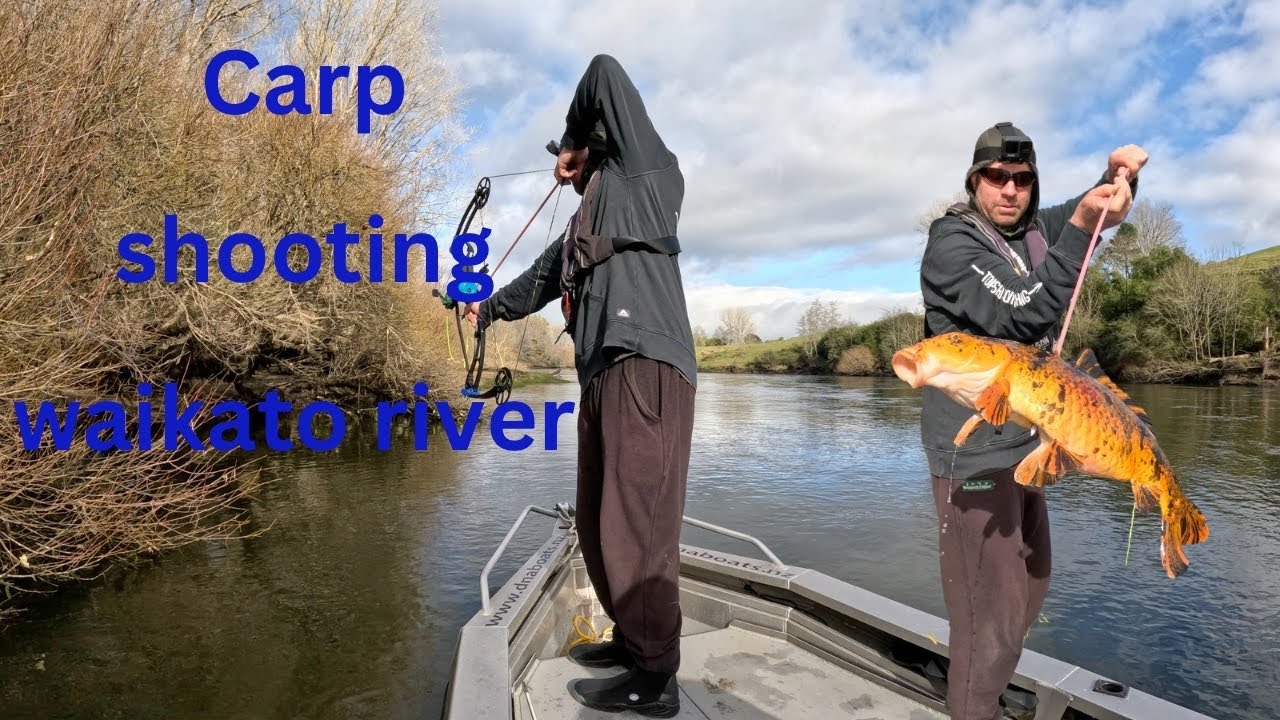 Carp shooting Waikato River - YouTube
