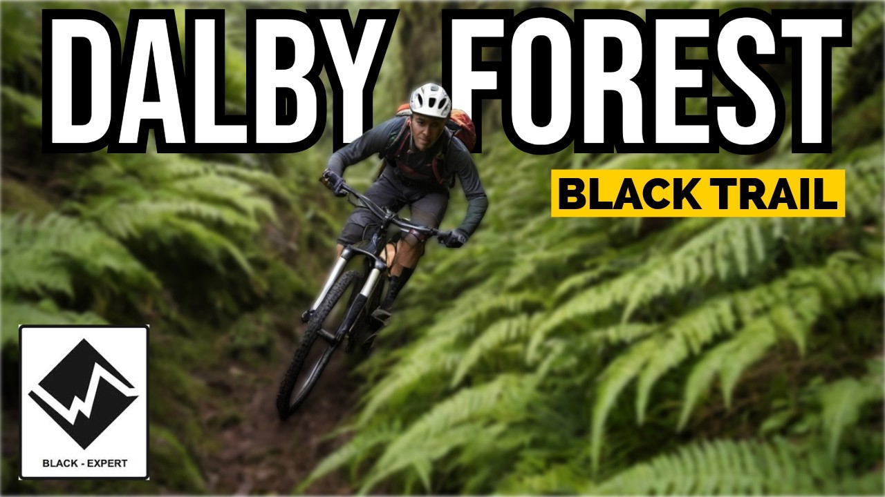Dalby Forest UCI Worldcup Black Trail - YouTube
