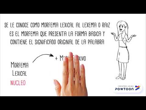 Morfema lexical - YouTube