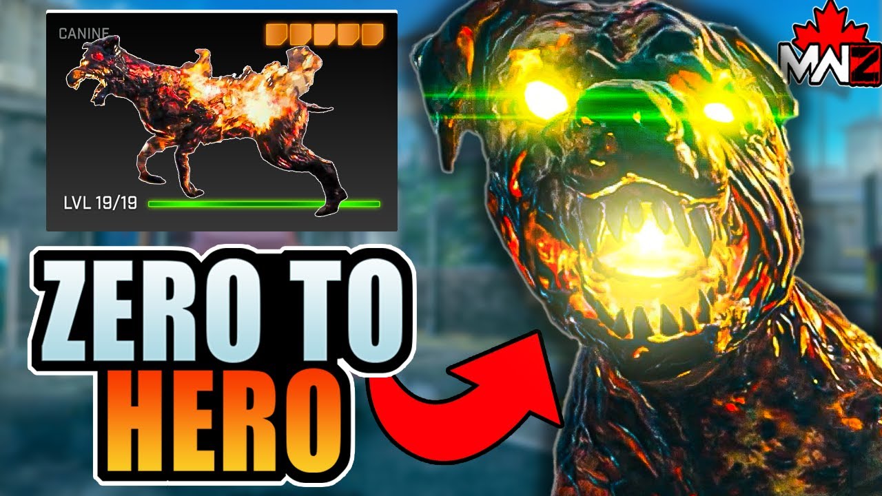 Mw3 Zombies Zero To Hero Run You Need To Know Youtube