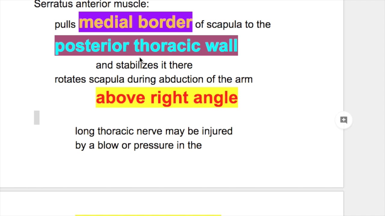 Winged Scapula / Boxers muscle - YouTube