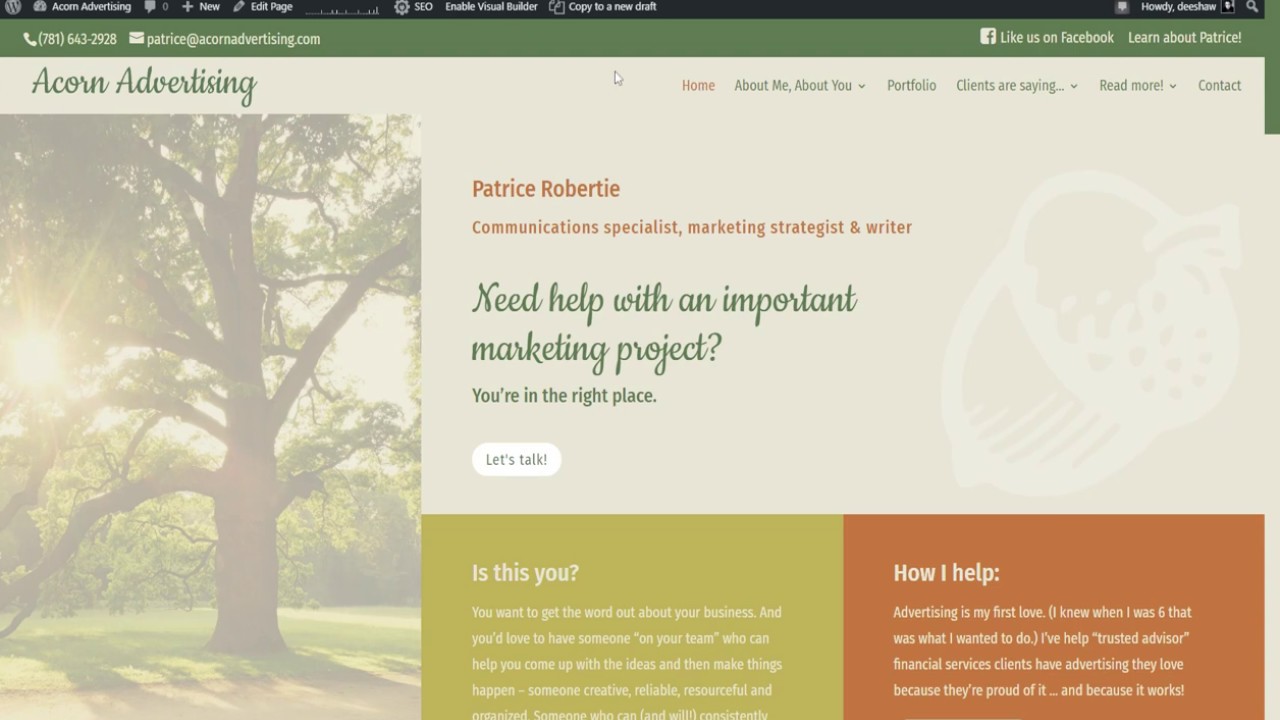 Updating Acorn Advertising on WordPress - YouTube