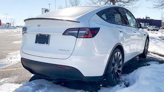Model Y Performance White - 시네21