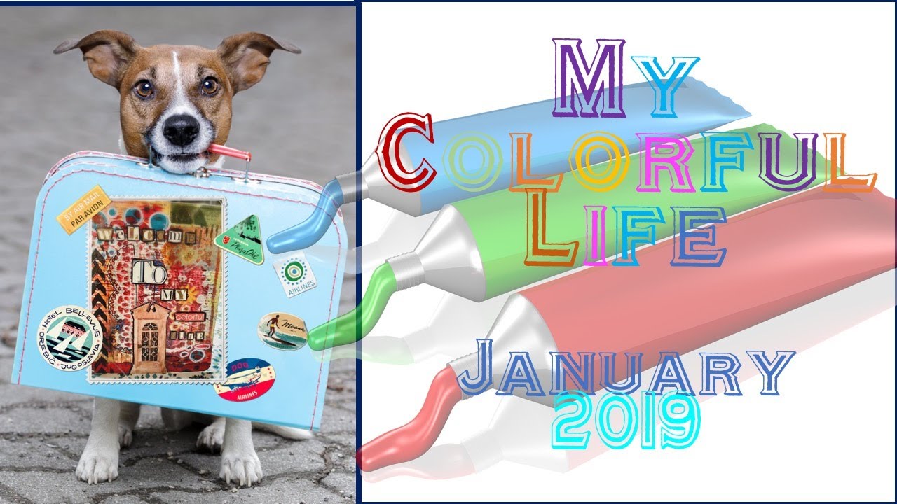 My Colorful Life 2019 - YouTube