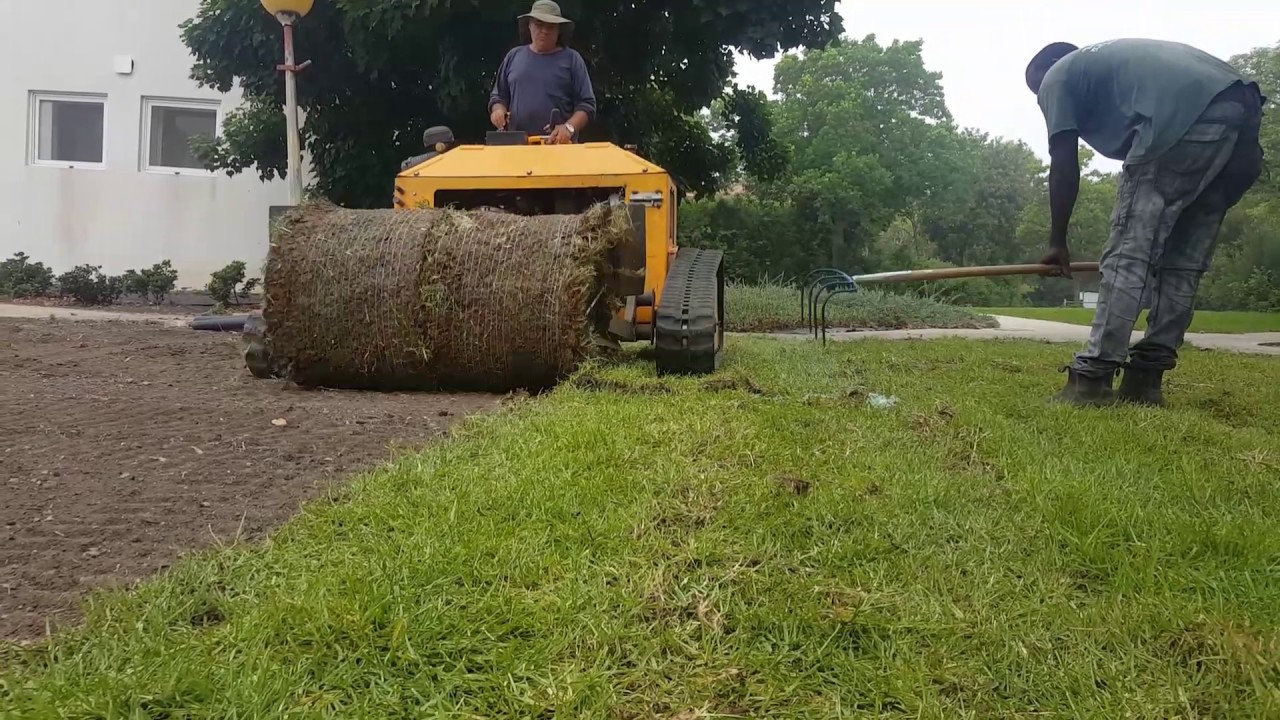 big roll sod installer - YouTube