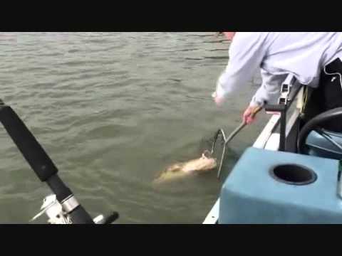 Coosa River Testing The Omoto GTR T15L.wmv