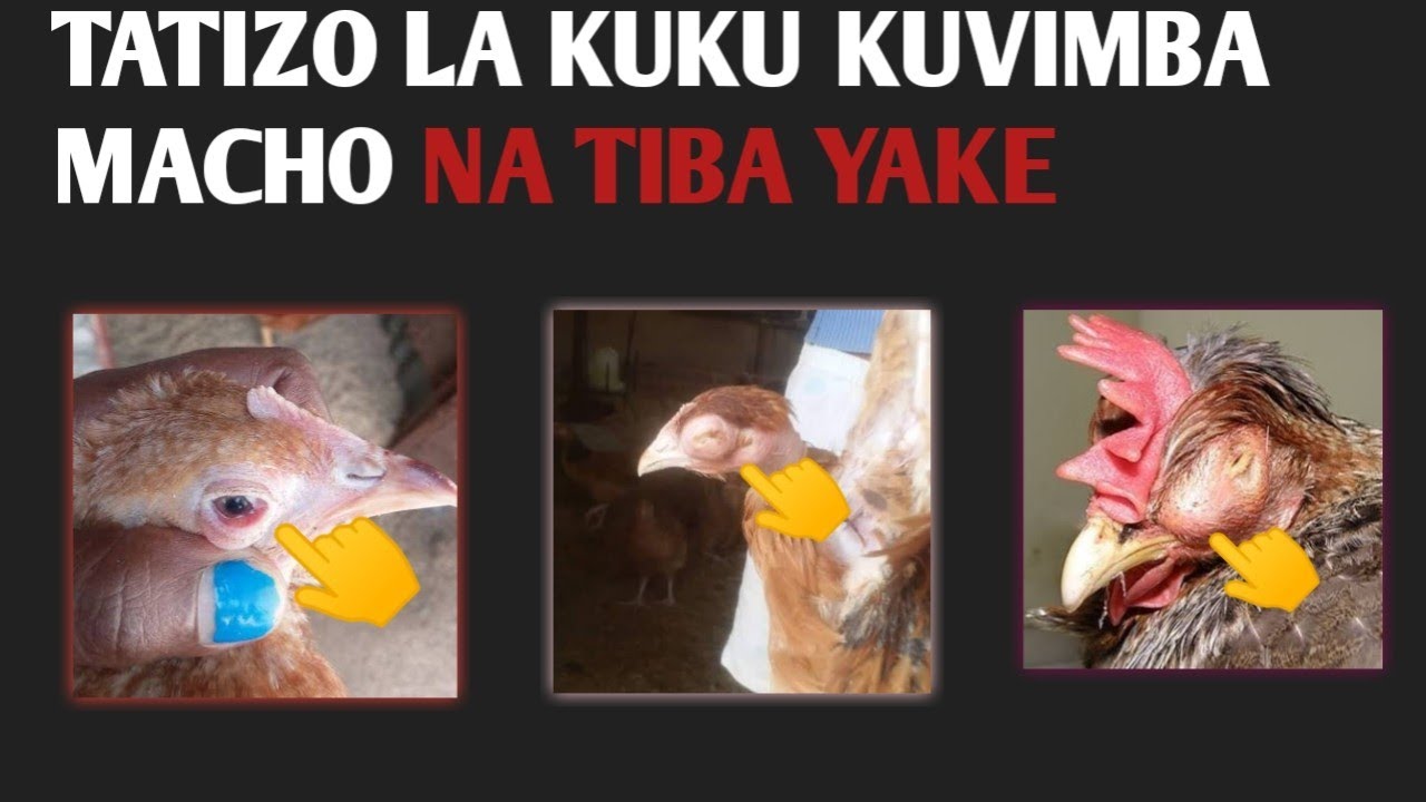 TIBA YA ASILI YA MAFUA MAKALI YANAYOSABIBISHA MACHO KUVIMBA#chicken# ...