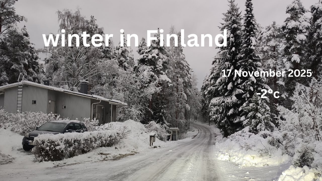 Finland’s Dark Winter: Beautiful Nordic Nature in 4K - YouTube