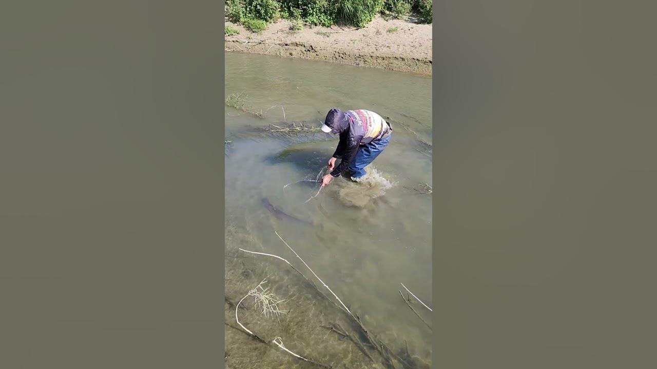 Huli ang dalawang hito sa gilid ng ilog - YouTube