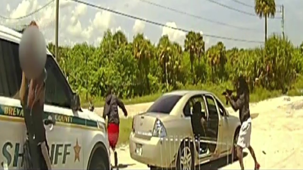 Traffic Stop Turns into Violent Police Ambush On 2 Florida Officers ...