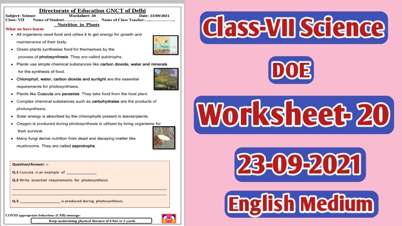 doe | Worksheet 20 | science | class 7 | 23 September 2021 |english ...