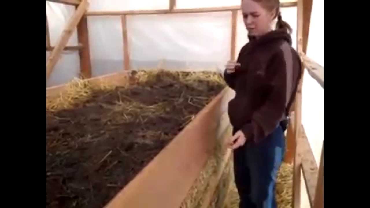 My First Pallet Raised Garden Hotbed Greenhouse for Winter Gardening ...