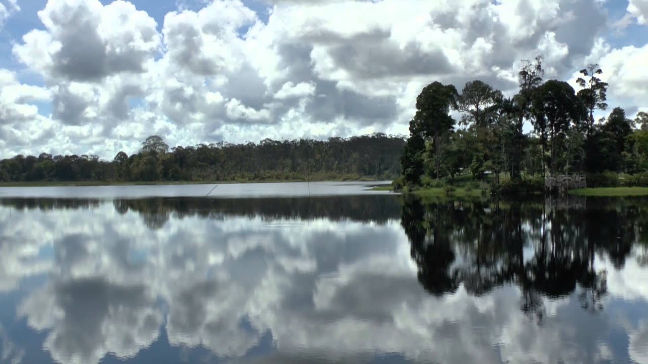 Tasek Merimbun Heritage Park, Brunei Darussalam - YouTube