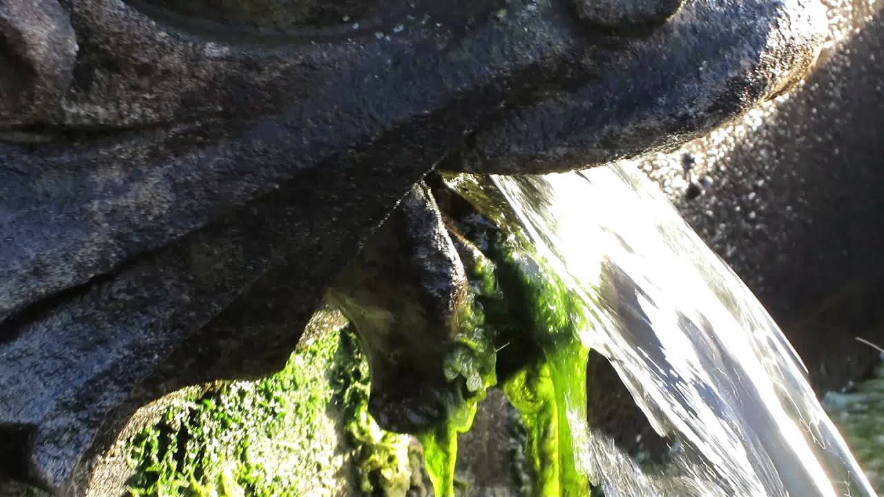 Canon PowerShot S110 Test Video With Zoom