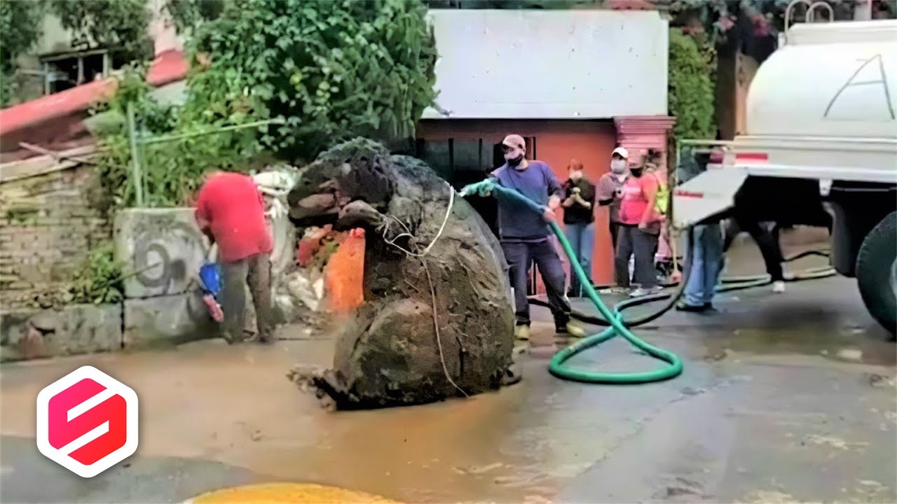 TIKUS RAKSASA GEGERKAN WARGA, Ditemukan di Gorong-gorong Ternyata ini ...