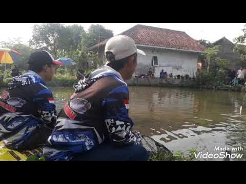 luar biasa,,,d kolam pa amri ikan babon semua...kail benang pada putus2😂😂😂 - YouTube
