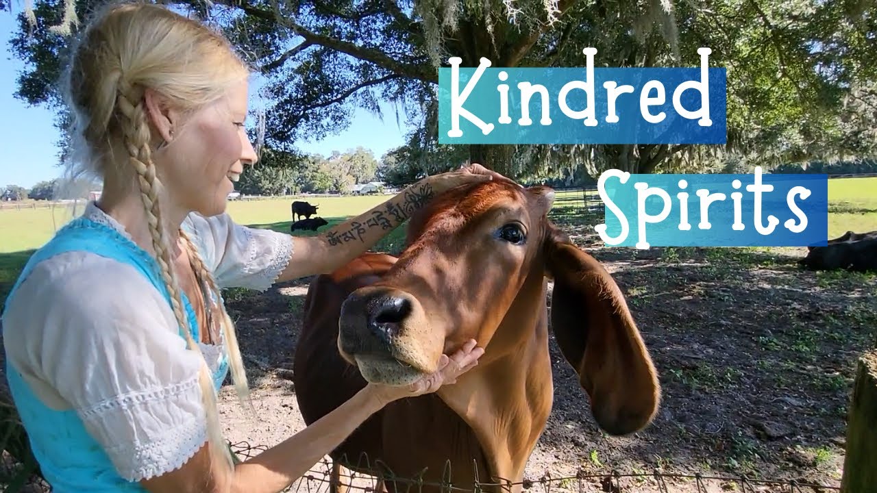 ~ Kindred Spirits Sanctuary ~ - YouTube