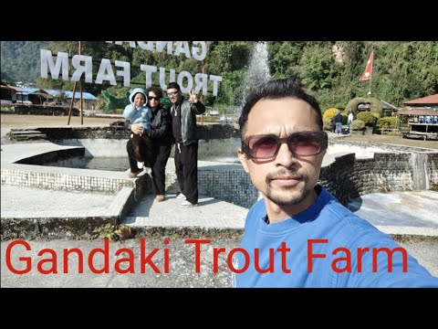 Gandaki Trout Farm Pokhara |_Bhujung_khola ... - YouTube