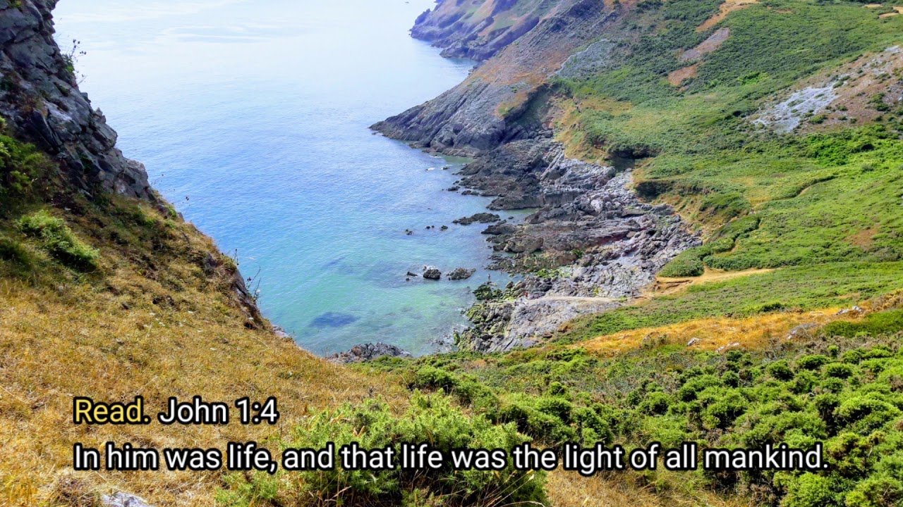 Daily Meditation for a Fresh Start! John 1:4 Praise, Read, Declare ...