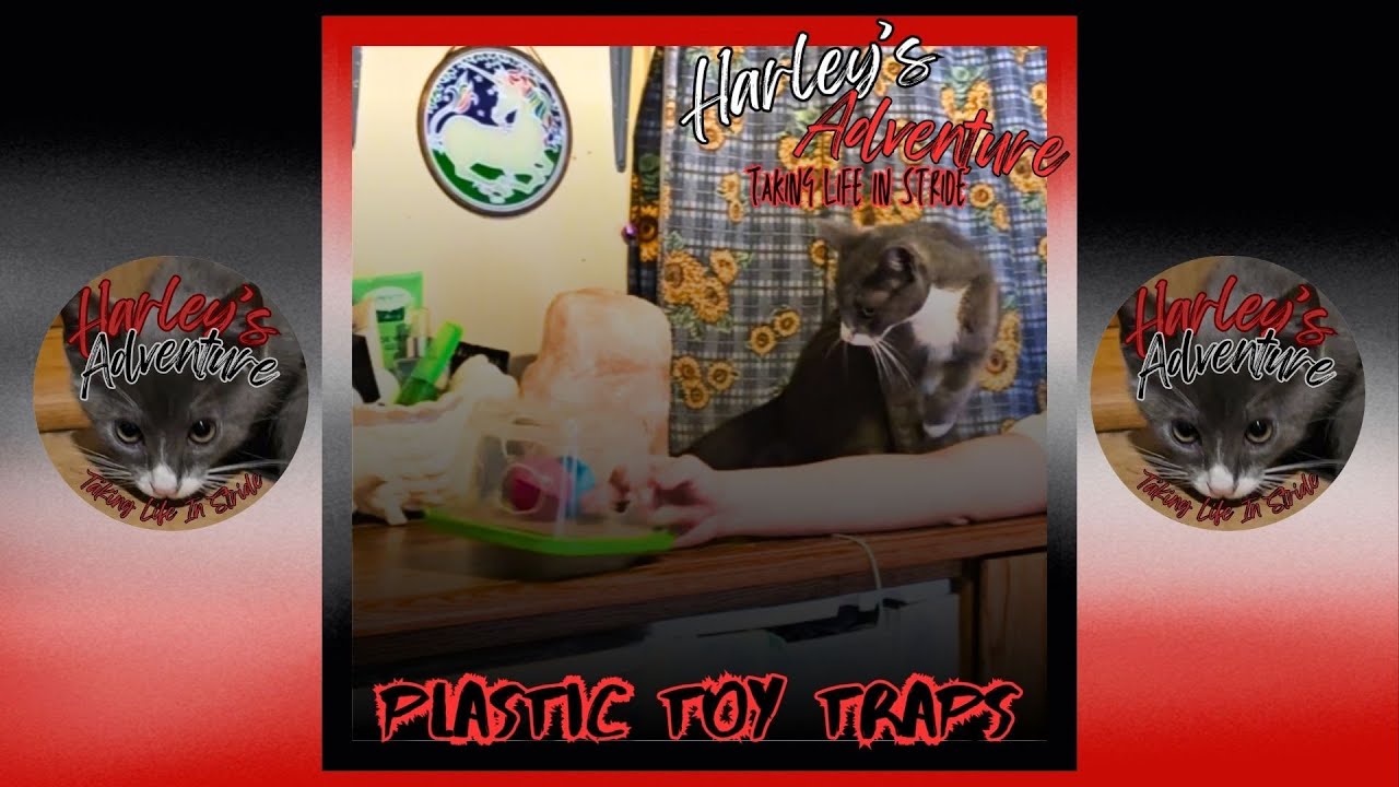 Plastic Toy Traps Music Lyrics - YouTube