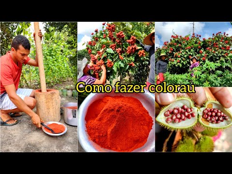 como fazer colorau em casa (urucum) - YouTube