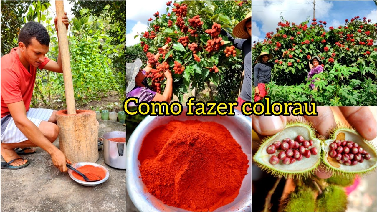 como fazer colorau em casa (urucum) - YouTube