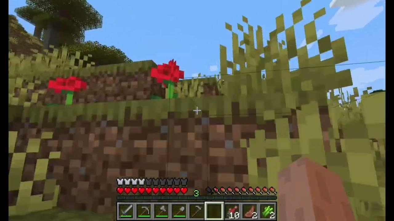 Minecraft Shulk Origin: Shulk vs Skulk - YouTube