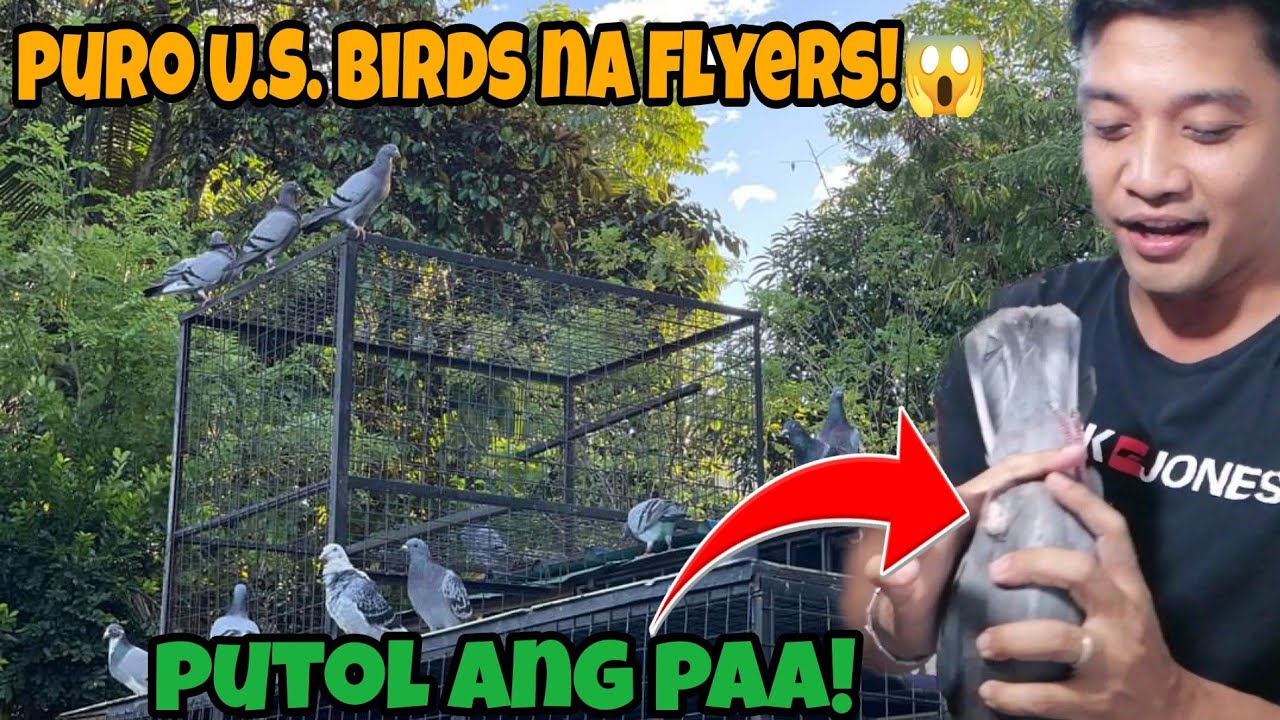 KALAPATING PUTOL ANG PAA NADAGIT SA IANSKIE LOFT KAWAWANG IBON ANO ...